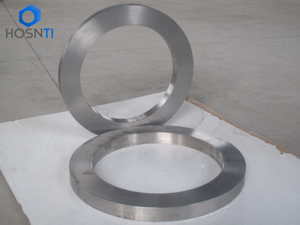 Grade 5 Eli Medical Titanium Discs – Baoji HOSN Titanium Co., Ltd.